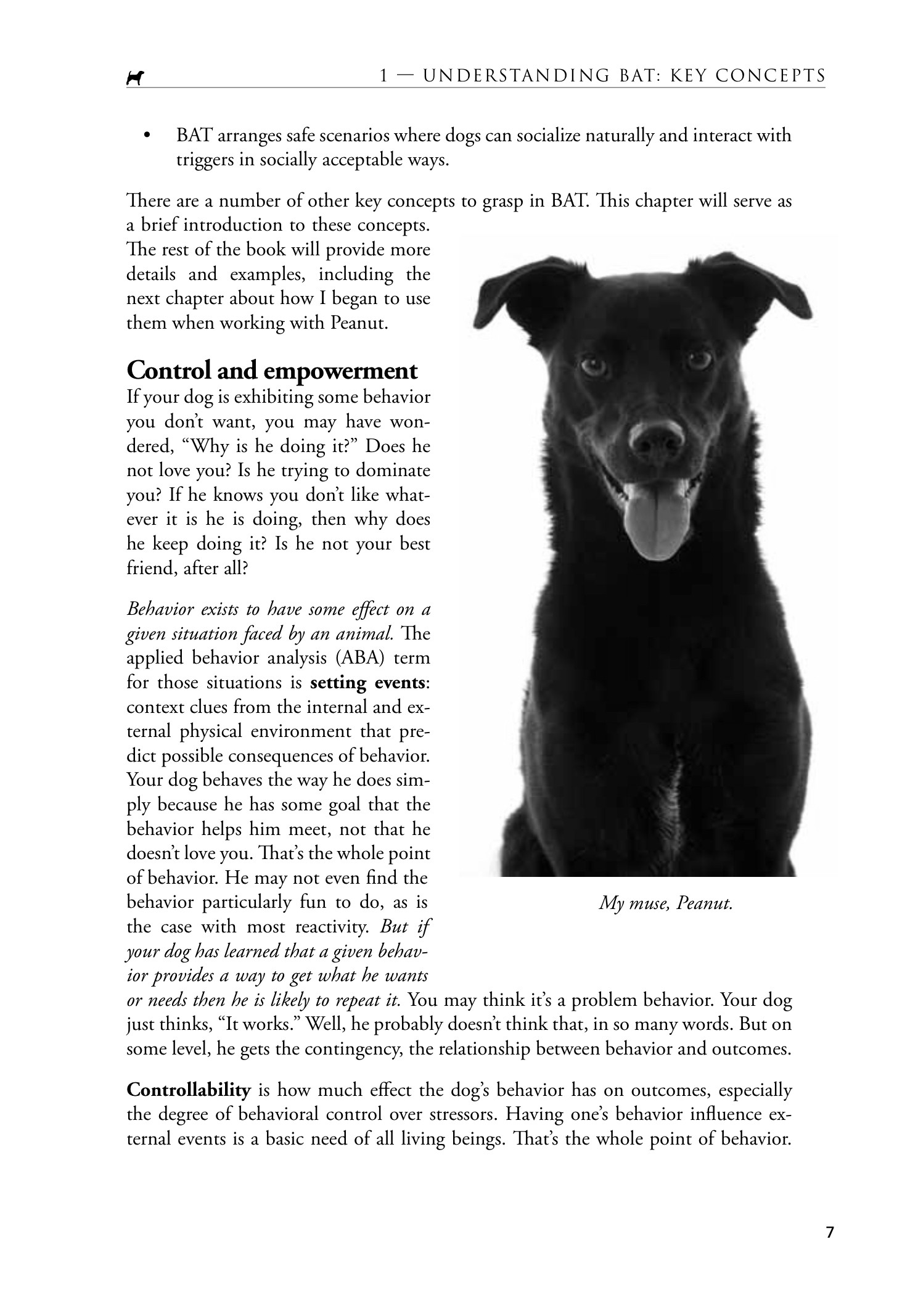 Behavior Adjustment Training 2.0: New Practical Techniques for Fear ...