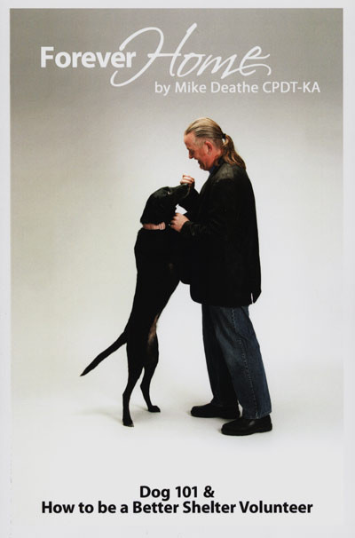 forever Home: Dog Training 101 & How To Be A Better Shelter Volunteer ...