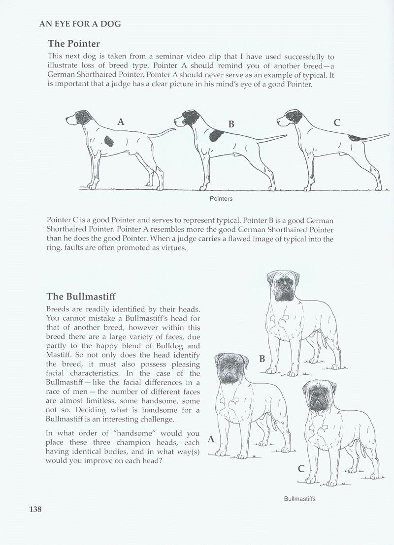 An Eye for A Dog - Illustrated Guide To Judging Purebred Dogs - Dogwise