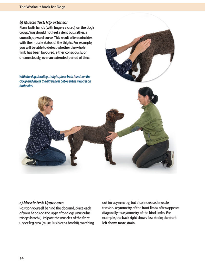 The Workout Book for Dogs - A Complete Guide to Canine Fitness