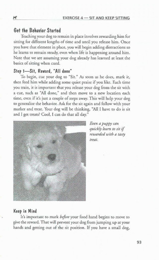 Chill Out Fido! - How To Calm Your Dog - Dogwise