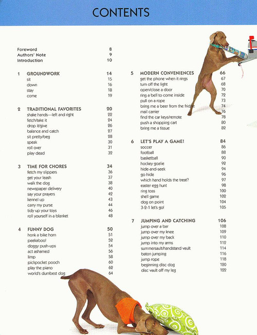 101 Dog Tricks: Step-by-Step Activities to Engage, Challenge, and Bond ...