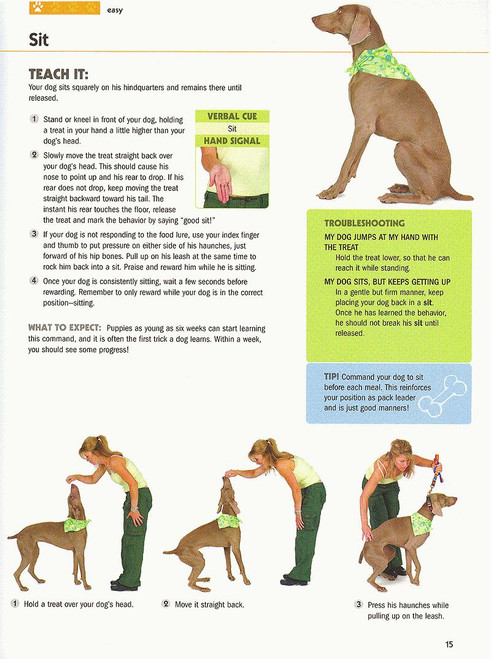101 Dog Tricks: Step-by-Step Activities to Engage, Challenge, and Bond ...