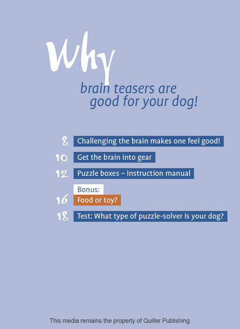 Brain Teasers for Dogs: Quick and Easy Homemade Puzzle Games
