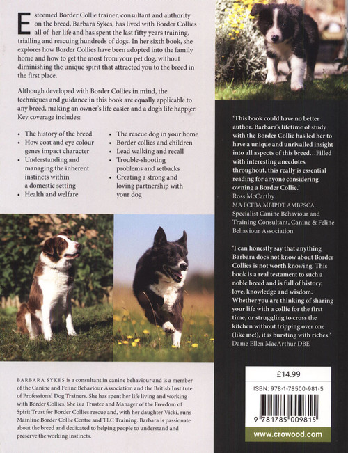Living with Border Collies