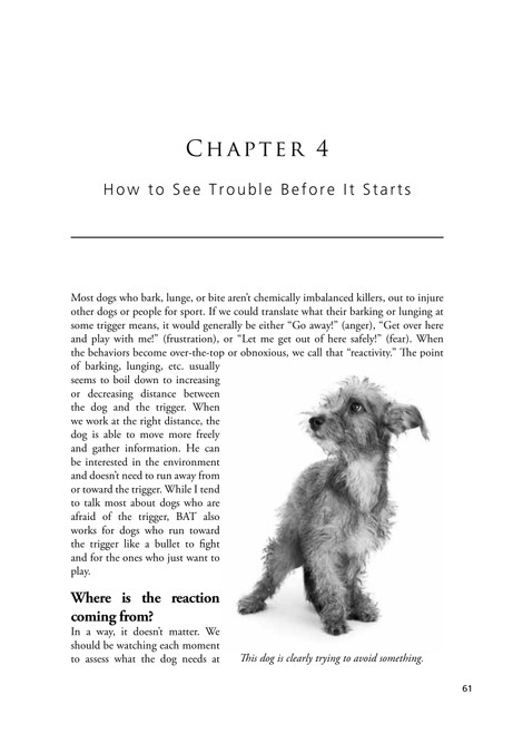 Behavior Adjustment Training 2.0: New Practical Techniques for Fear ...