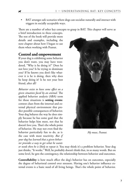 Behavior Adjustment Training 2.0: New Practical Techniques for Fear ...