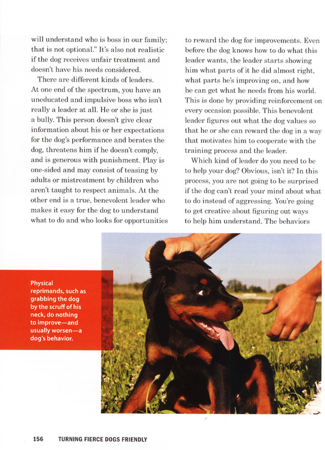 Turning Fierce Dogs Friendly: Using Constructional Aggression Treatment ...
