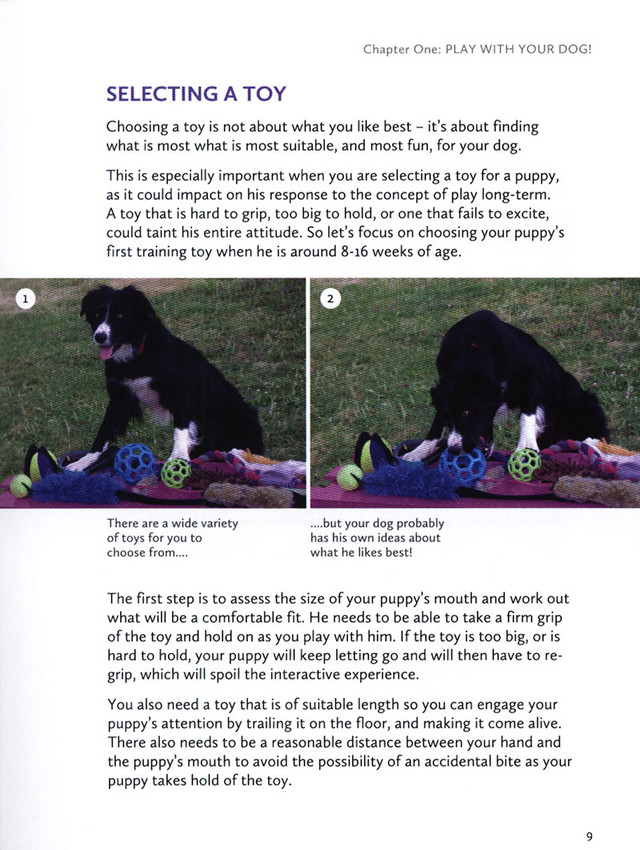 Foundation Fun and Games: Play your way to agility success - Dogwise