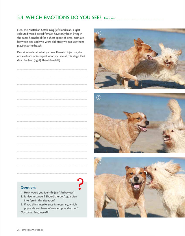 Dogs in Translation – A Unique Journey of Observation and Interpretation