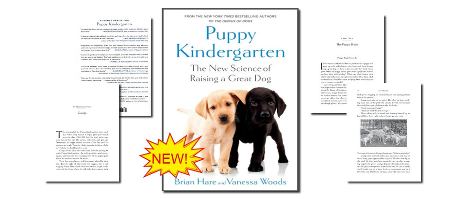 Dogwise.com - The Best Books, DVDs, and eBooks on Dogs