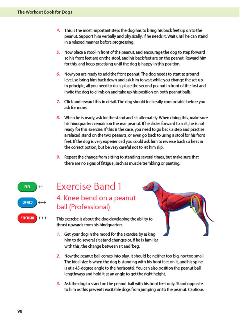The Workout Book for Dogs - A Complete Guide to Canine Fitness