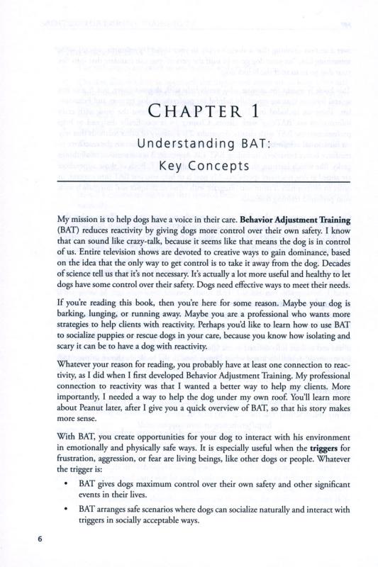 Behavior Adjustment Training 2.0: New Practical Techniques for Fear ...
