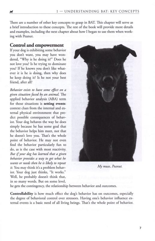 Behavior Adjustment Training 2.0: New Practical Techniques for Fear ...