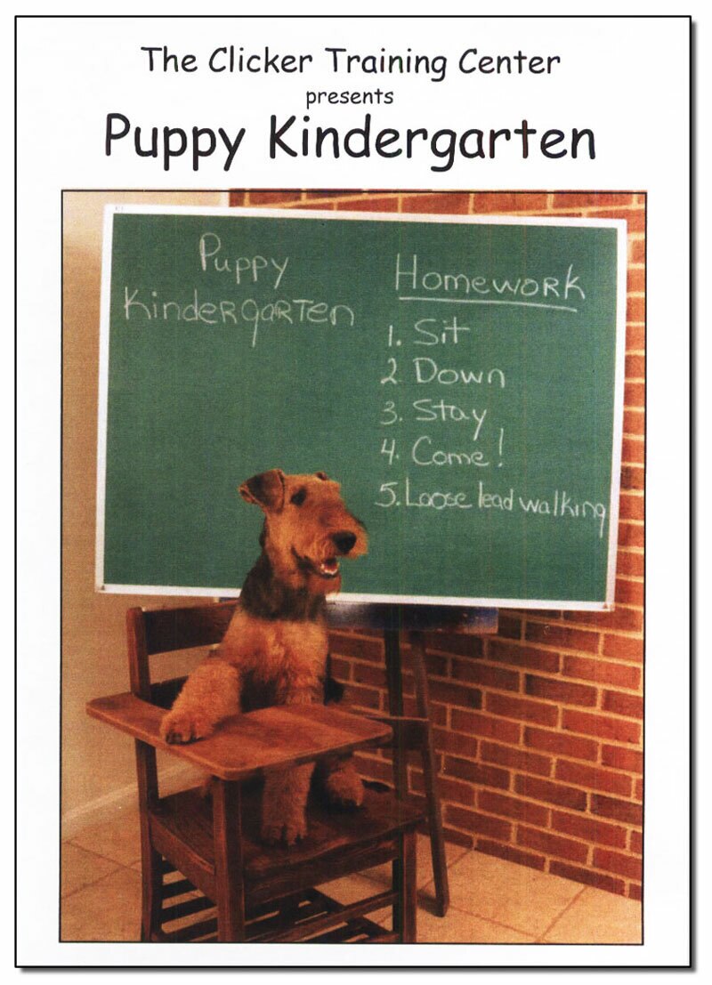 Puppy Kindergarten - Streaming Video on Demand - Dogwise
