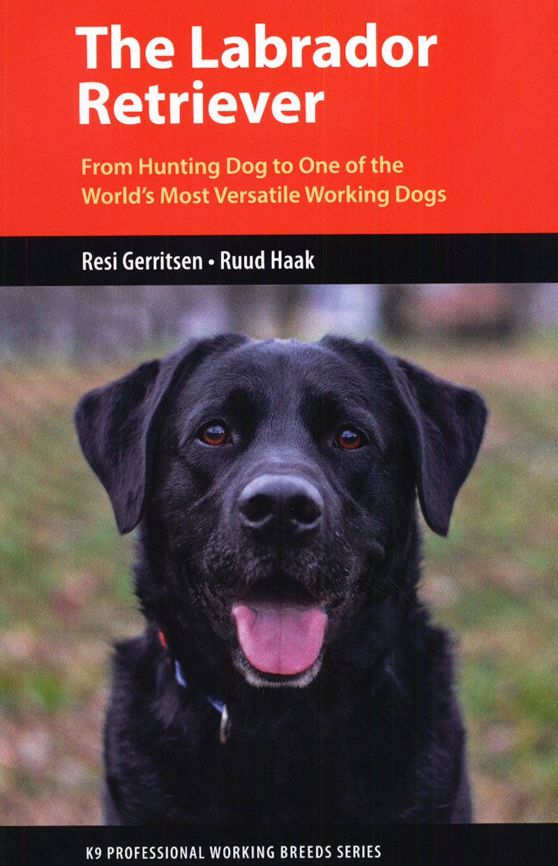 The Labrador Retriever: From Hunting Dog to One of the World's Most ...