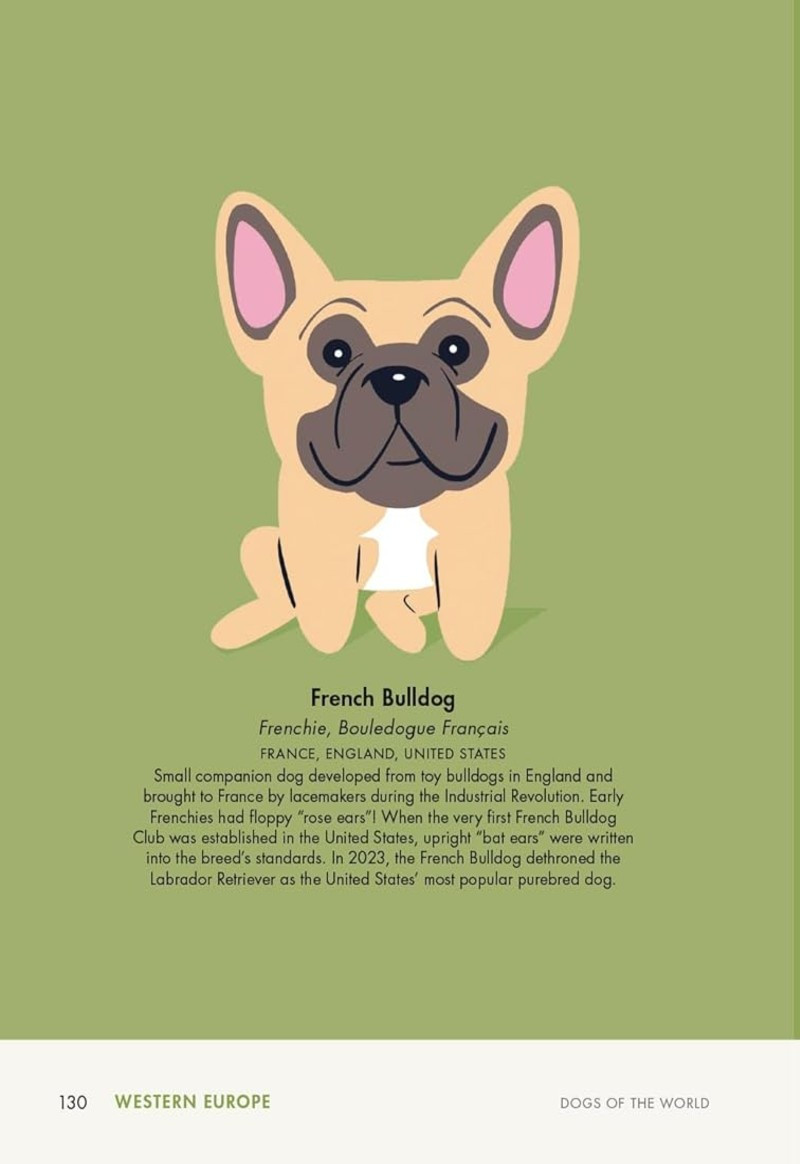 most famous internet dogs