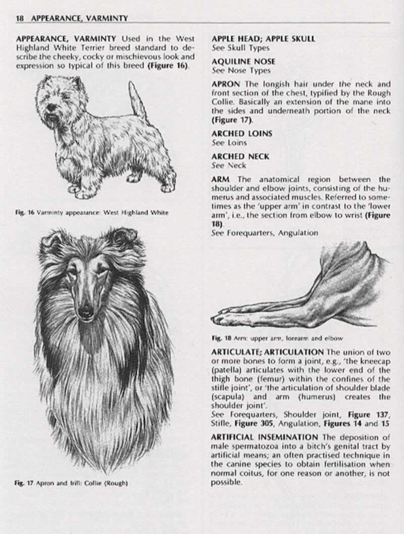 Canine Terminology - Dogwise