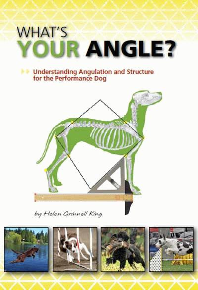 Ebook: What's Your Angle? Understanding Angulation and Structure for ...