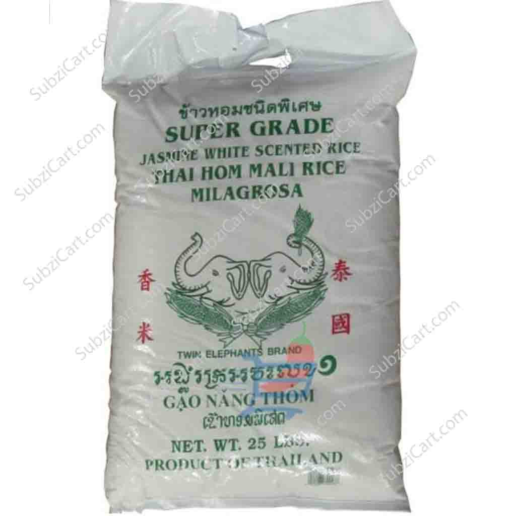 Get Twin Elephant Jasmine White Rice, 25 Lb|SubziCart.com
