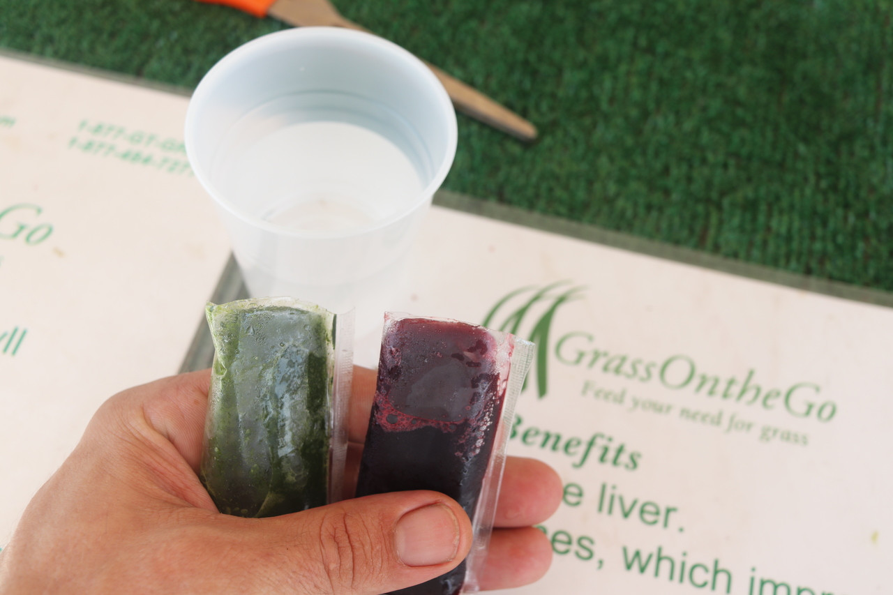 Beet Root Shots (25 x 1 oz) - Cold-Pressed Beet Juice