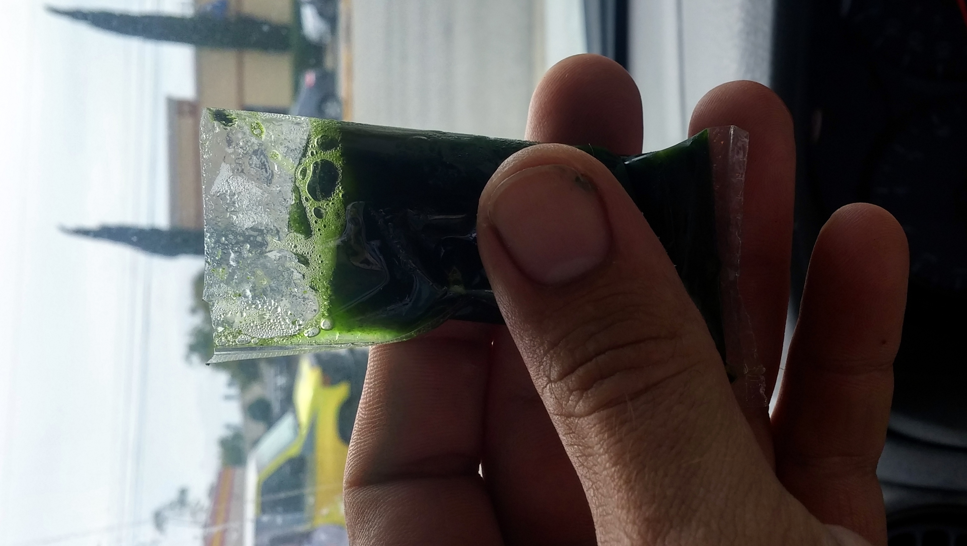 Grass On the Go: Flash Frozen Live Wheatgrass Juice Grass Shots