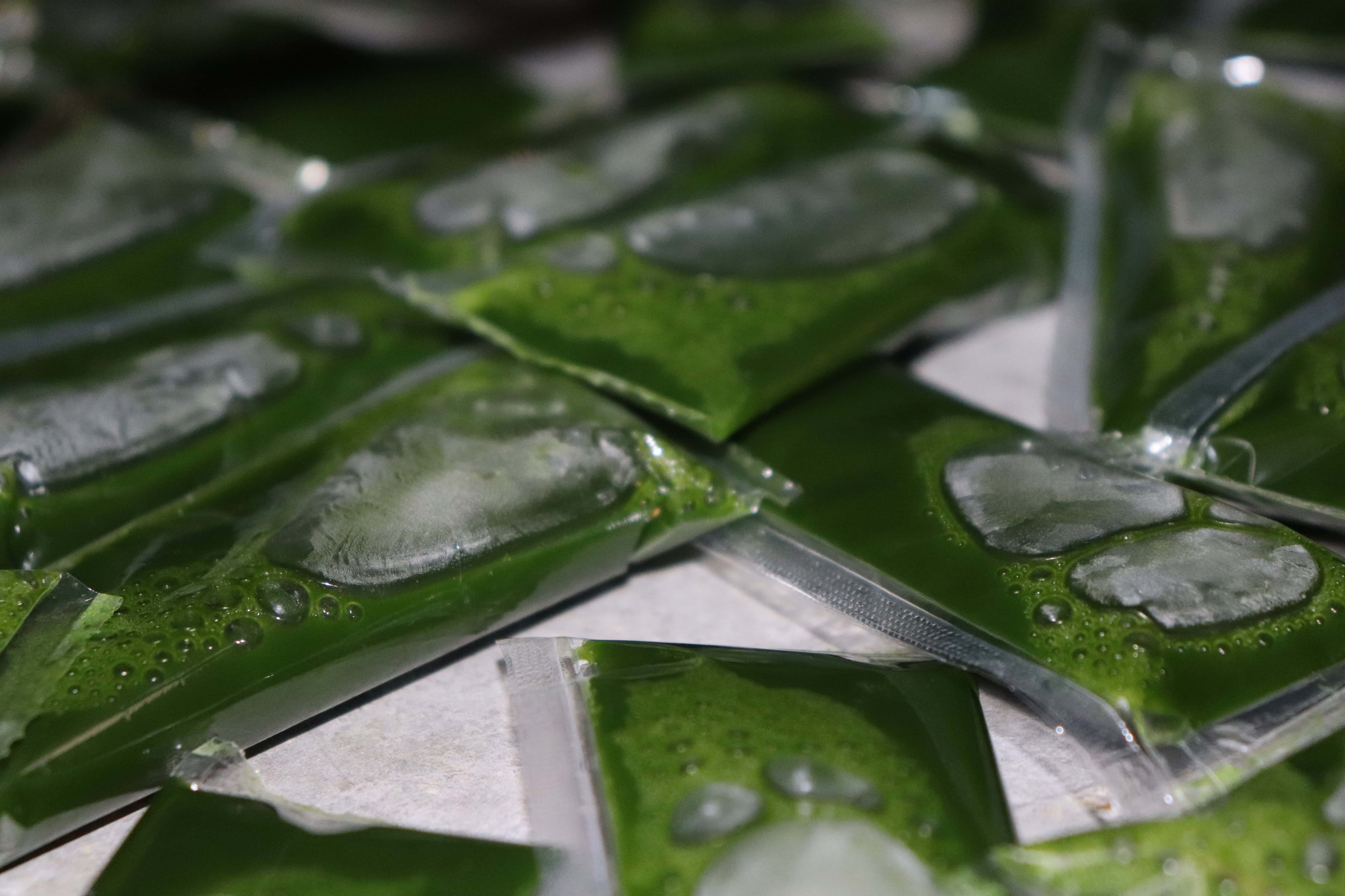 Grass On the Go: Flash Frozen Live Wheatgrass Juice Grass Shots