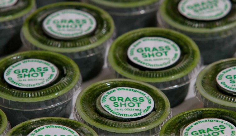 Wheatgrass company takes shot at success! Houston Chronicle November 14 ...