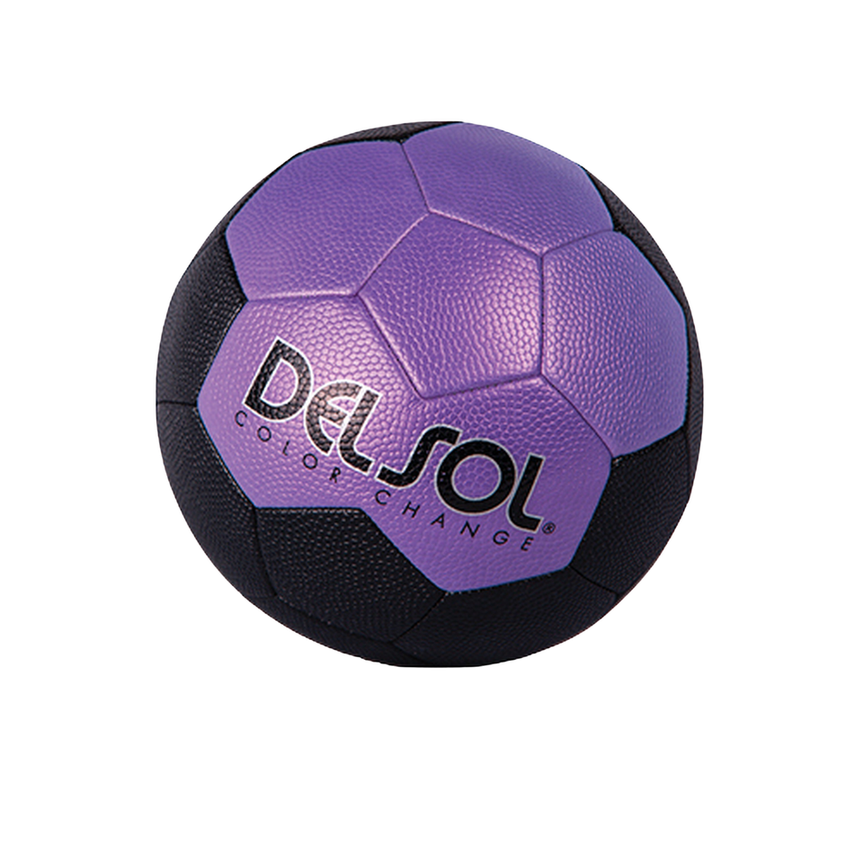 Del Sol Color-Changing Toys Accessories