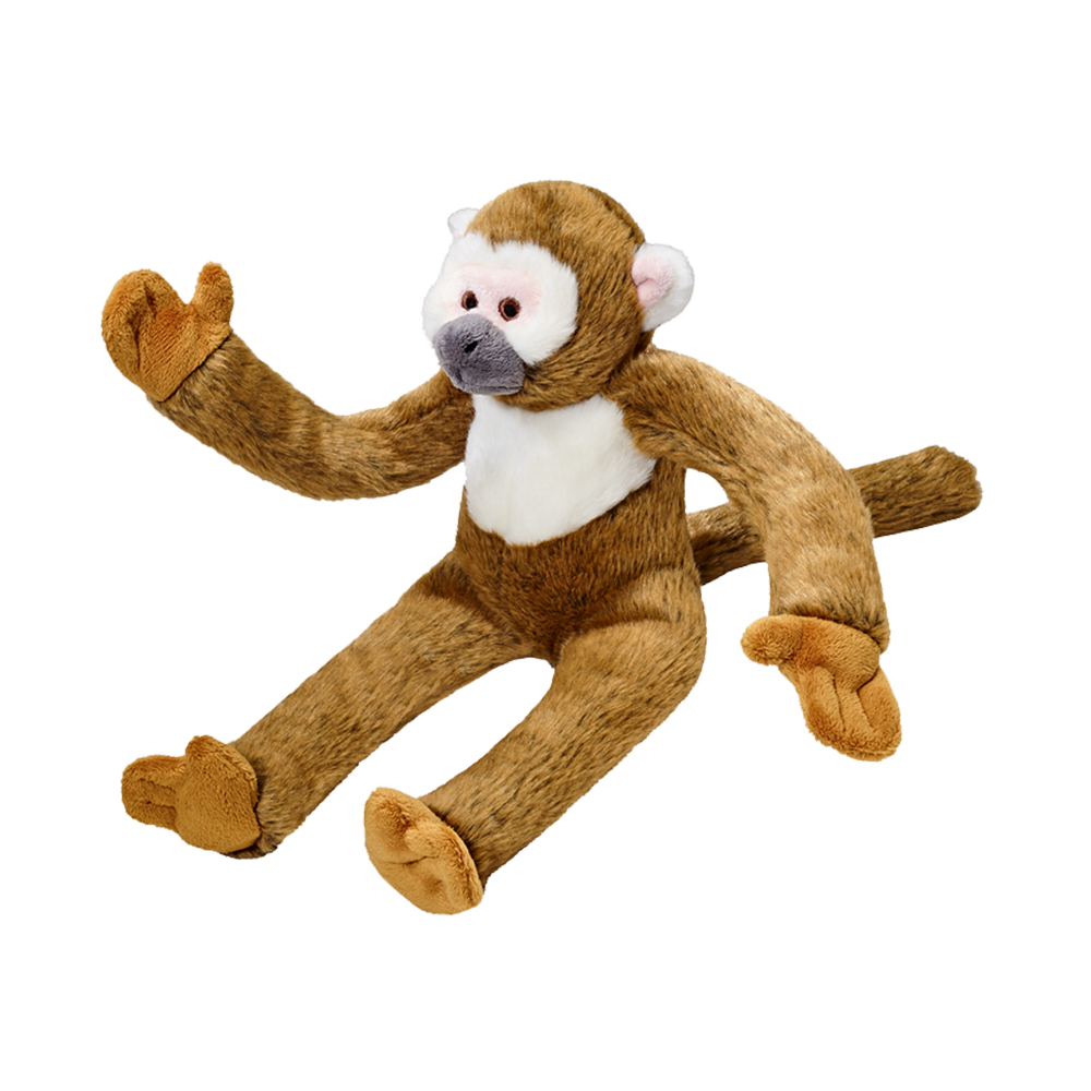 Albert Monkey