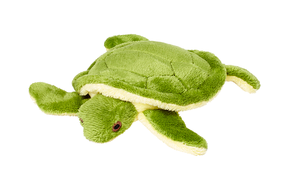 Shelly Turtle
