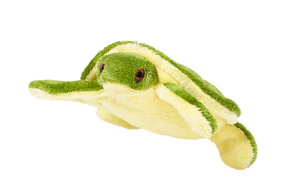 Shelly Turtle