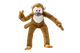 Albert Monkey
