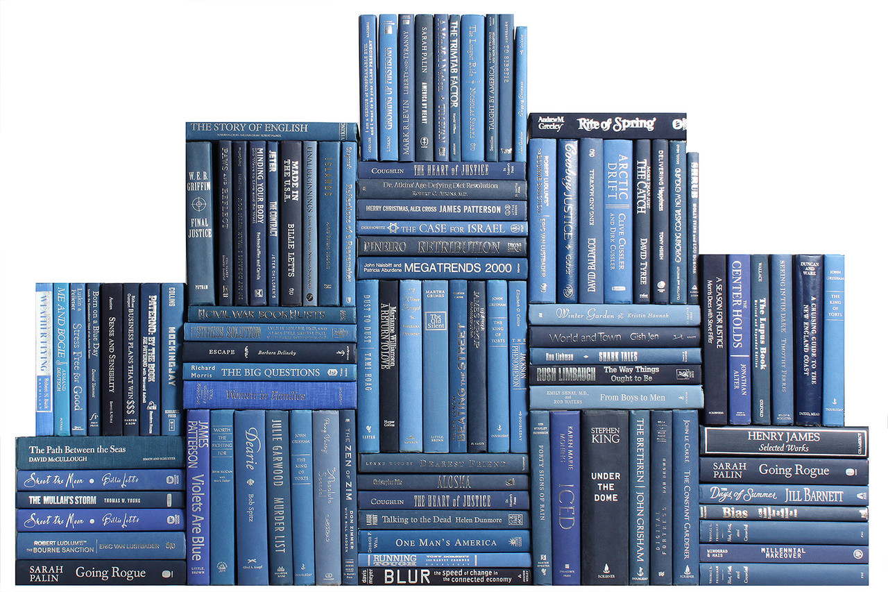 Blue Decorative Books - Denim & Silver Book Wall
