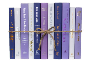 Purple Decorative Book Bundle - Violet Eclipse