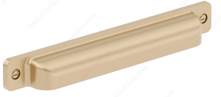 Richelieu Transitional Metal Pull - 8716 - Champagne Bronze - 320mm - D ...