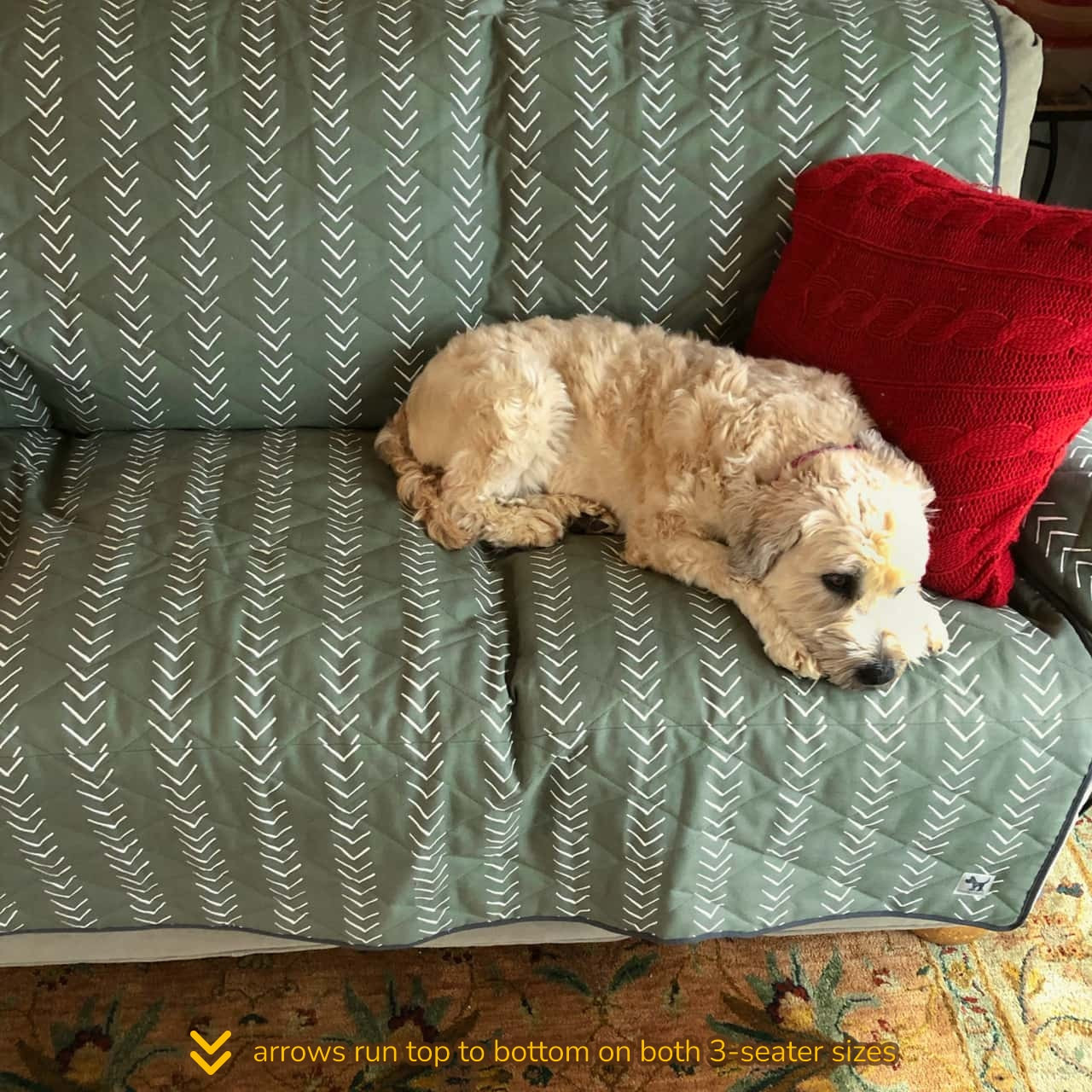 Muted Green Non-Slip Furniture Protector & Couch Cover for Dogs & Pets ...