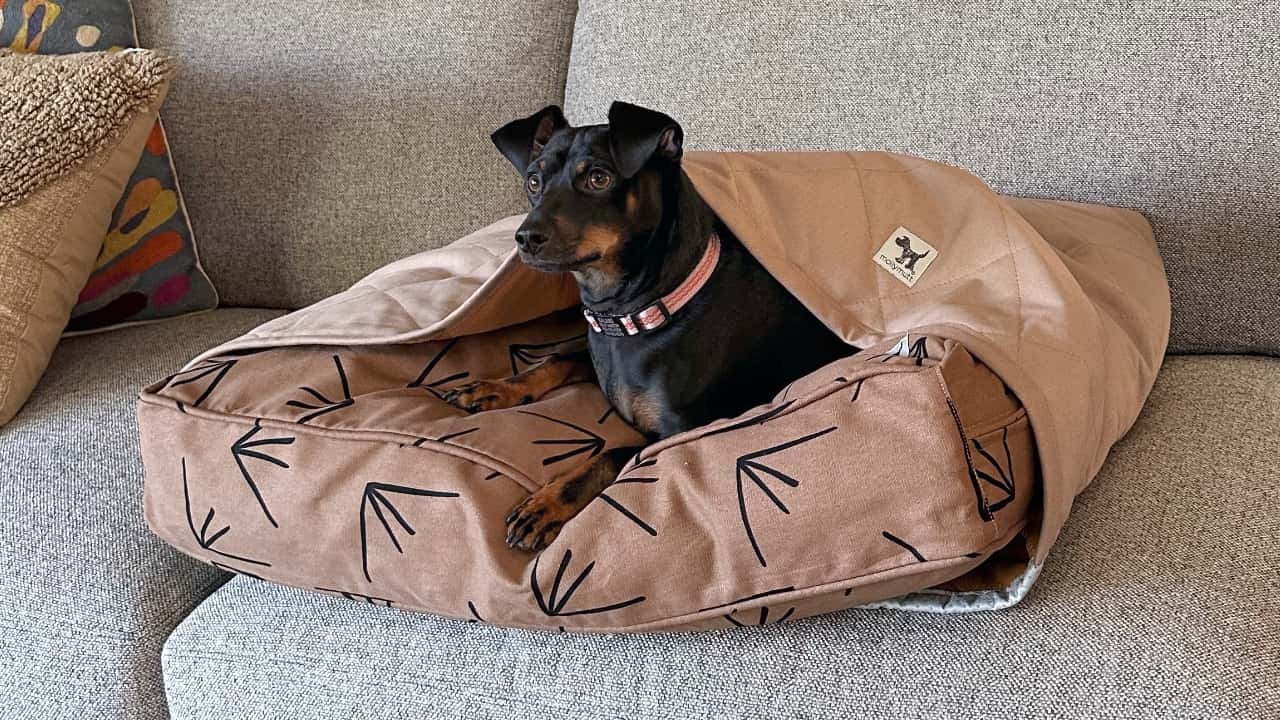 Add a Molly Mutt Dog Den to Your Bed - Snuggle, Snoozer or Nuzzle Bed