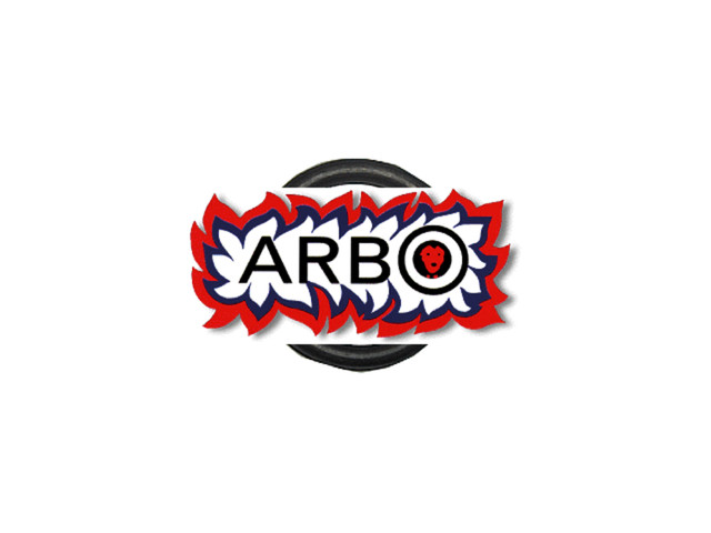 KIT CON 20 O-RING 17.86x2.62IN EPDM | ARBO SpA