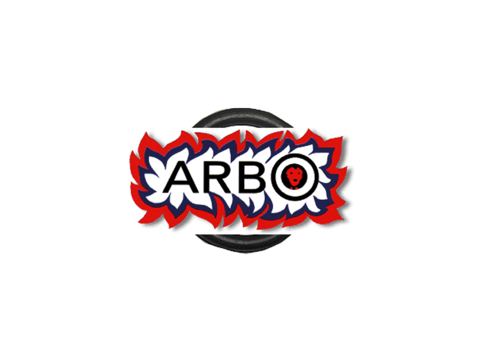 KIT CON 20 O-RING 17.86x2.62IN EPDM | ARBO SpA