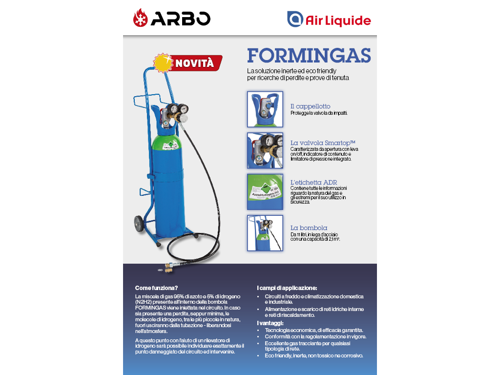 FORMINGAS - ARBO SpA