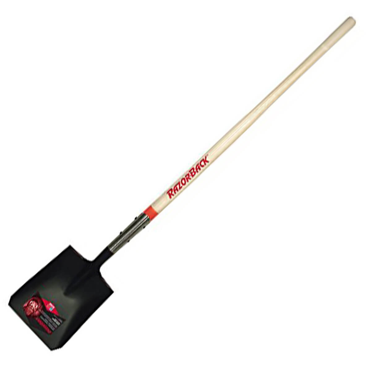 Ames True Temper Razor-Back Square Point Shovel - Wood Handle | Curtis ...