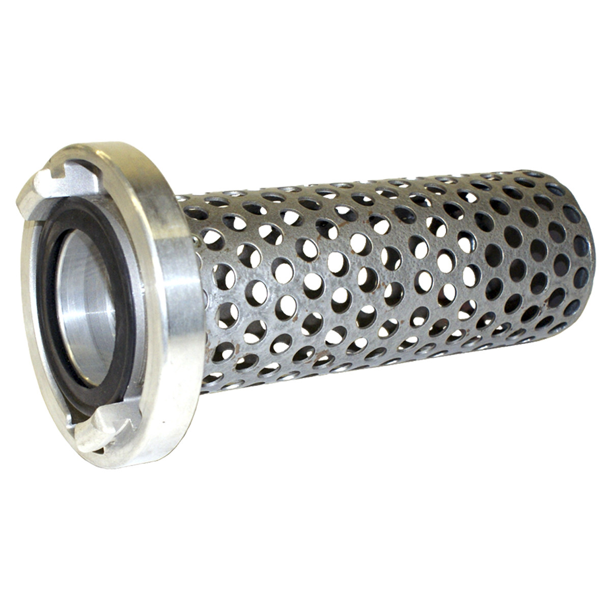 Flomatic 60SE Foot Valve with Strainer | Curtis