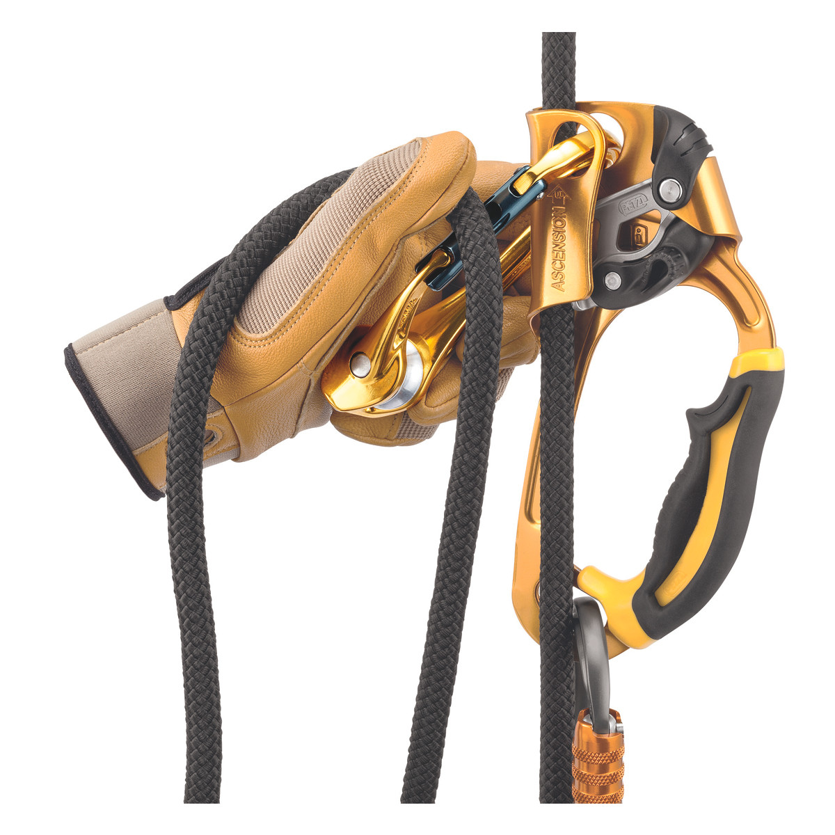 Petzl ROLLCLIP A Pulley-Carabiner | Curtis - Tools for Heroes