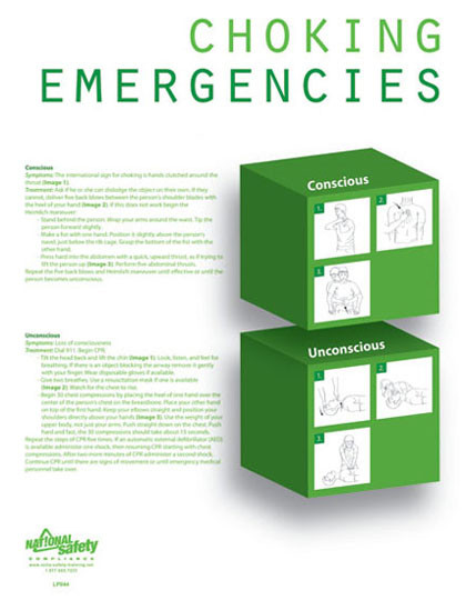 Choking Emergency Poster - ENGLISH
