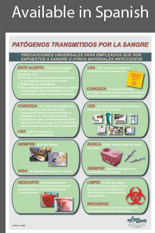 BBP Information Poster - SPANISH