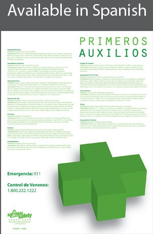 First Aid Safety Poster - SPANISH