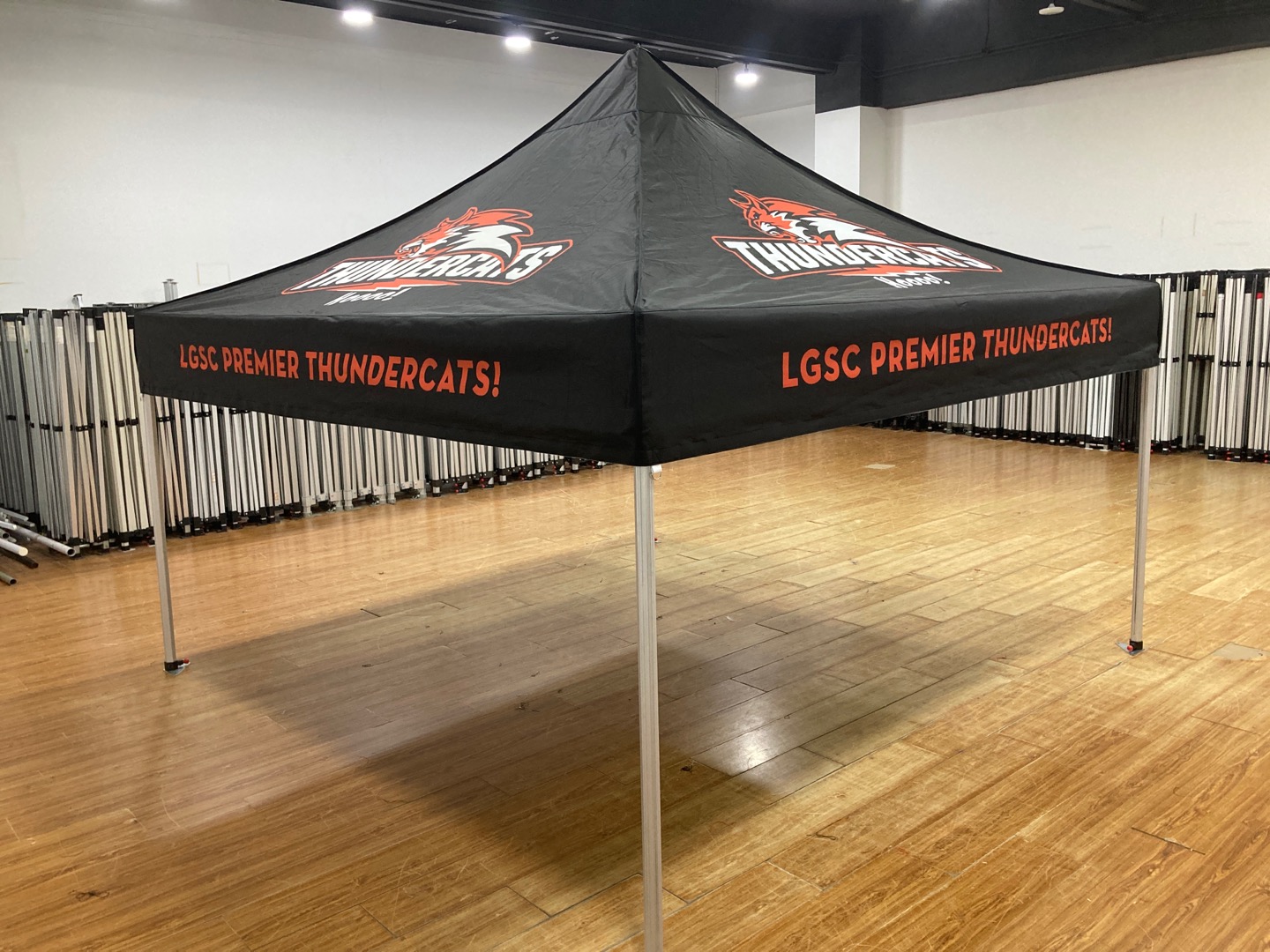 Case Study: Custom Banner Lab's Project for LGSC Thundercats Soccer ...