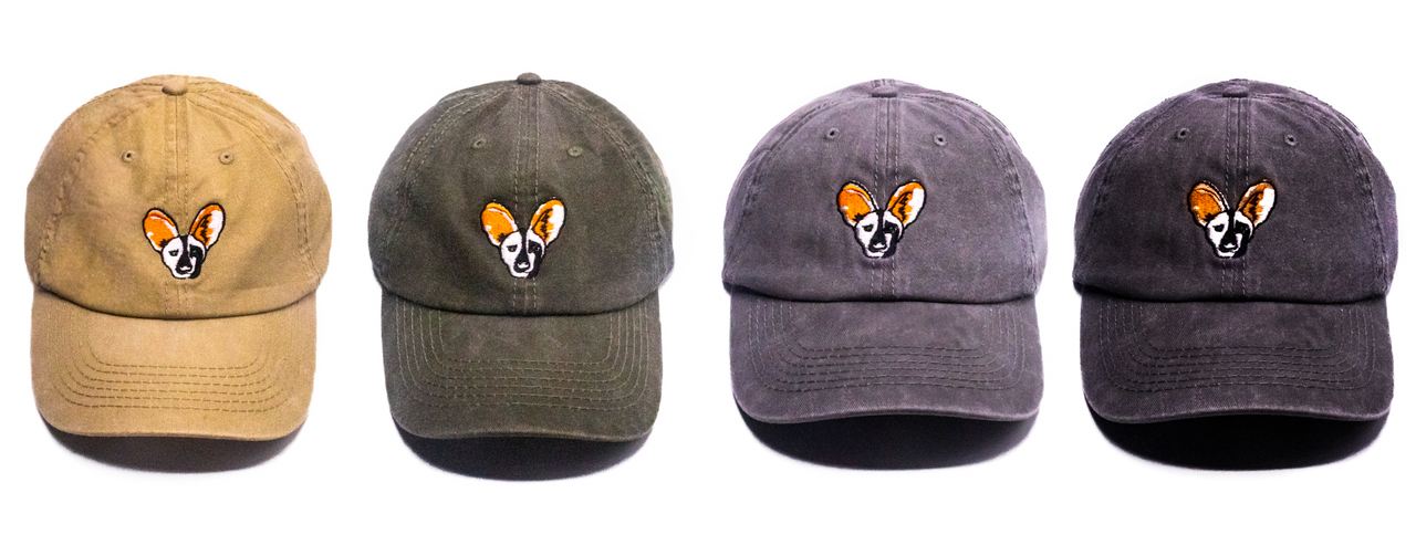 Painted Wolf Baseball Cap