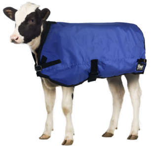 Progiene Calf Scour Test Kit